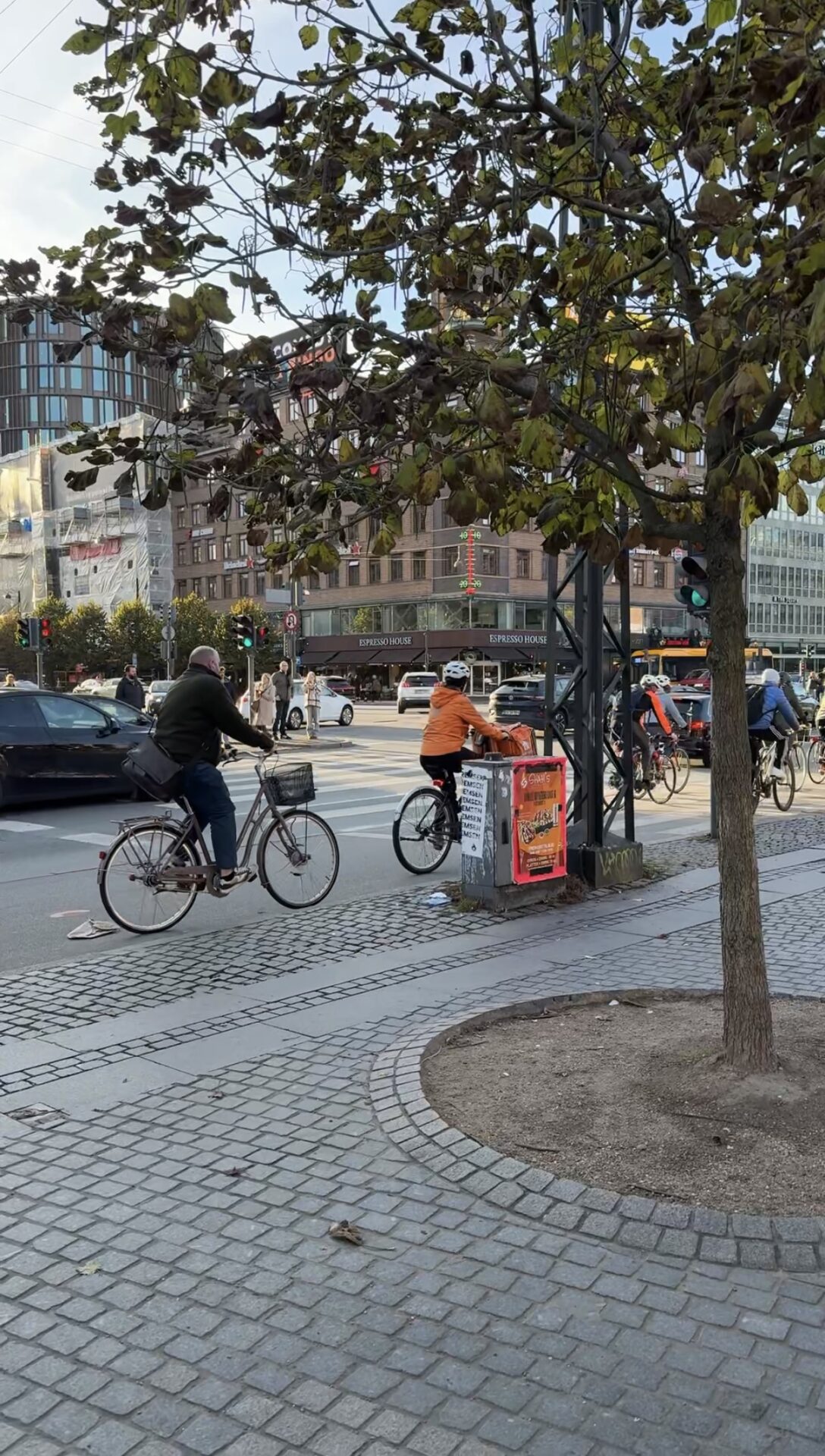 Blog – Waddling in Bike Traffic » Infrastructure Institute